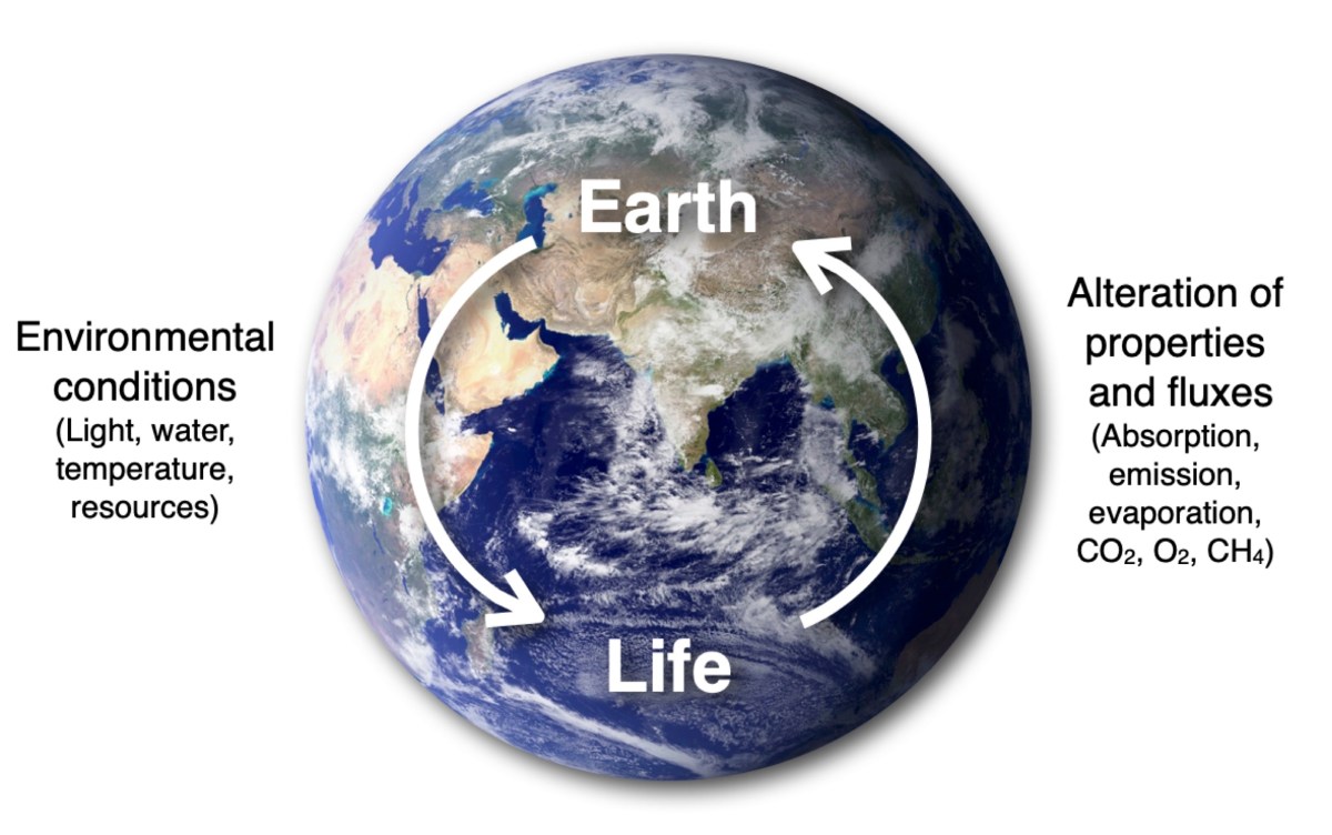 New Book Chapter: Understanding the Earth as a Whole System: From the ...