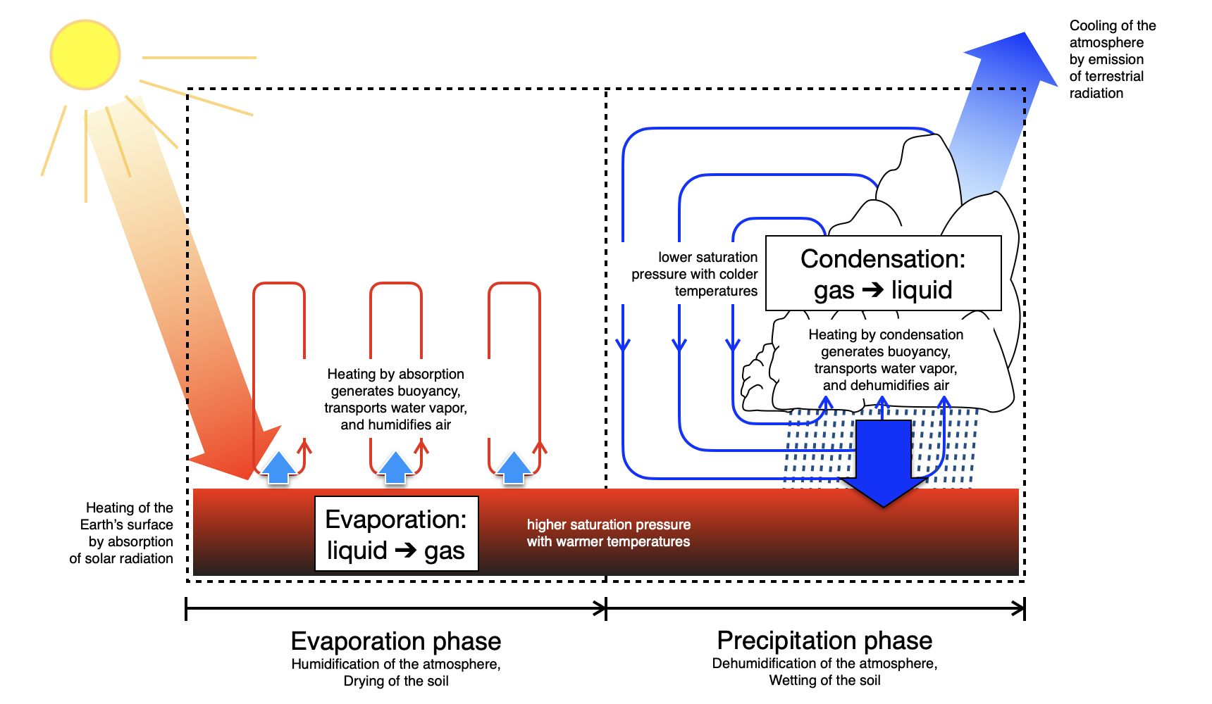 New article and YouTube videos: How energy and thermodynamics shape the ...